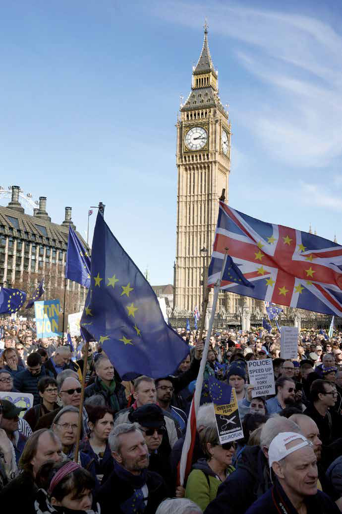 The Brexit Effect | PMI