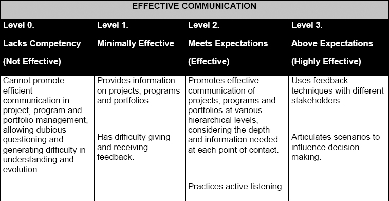 Project Management Competencies How to Define Assess and Plan
