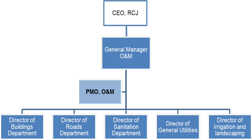 Achieving strategic organization objectives through a PMO