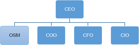 A framework for strategy execution integrating the PMO and OCM
