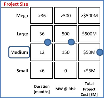Utilizing a Project Profile Matrix - PM Requirements