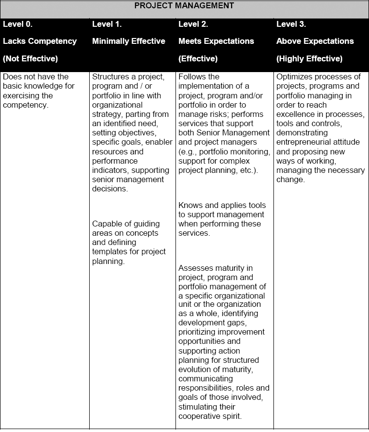 Project Management Competencies How to Define Assess and Plan